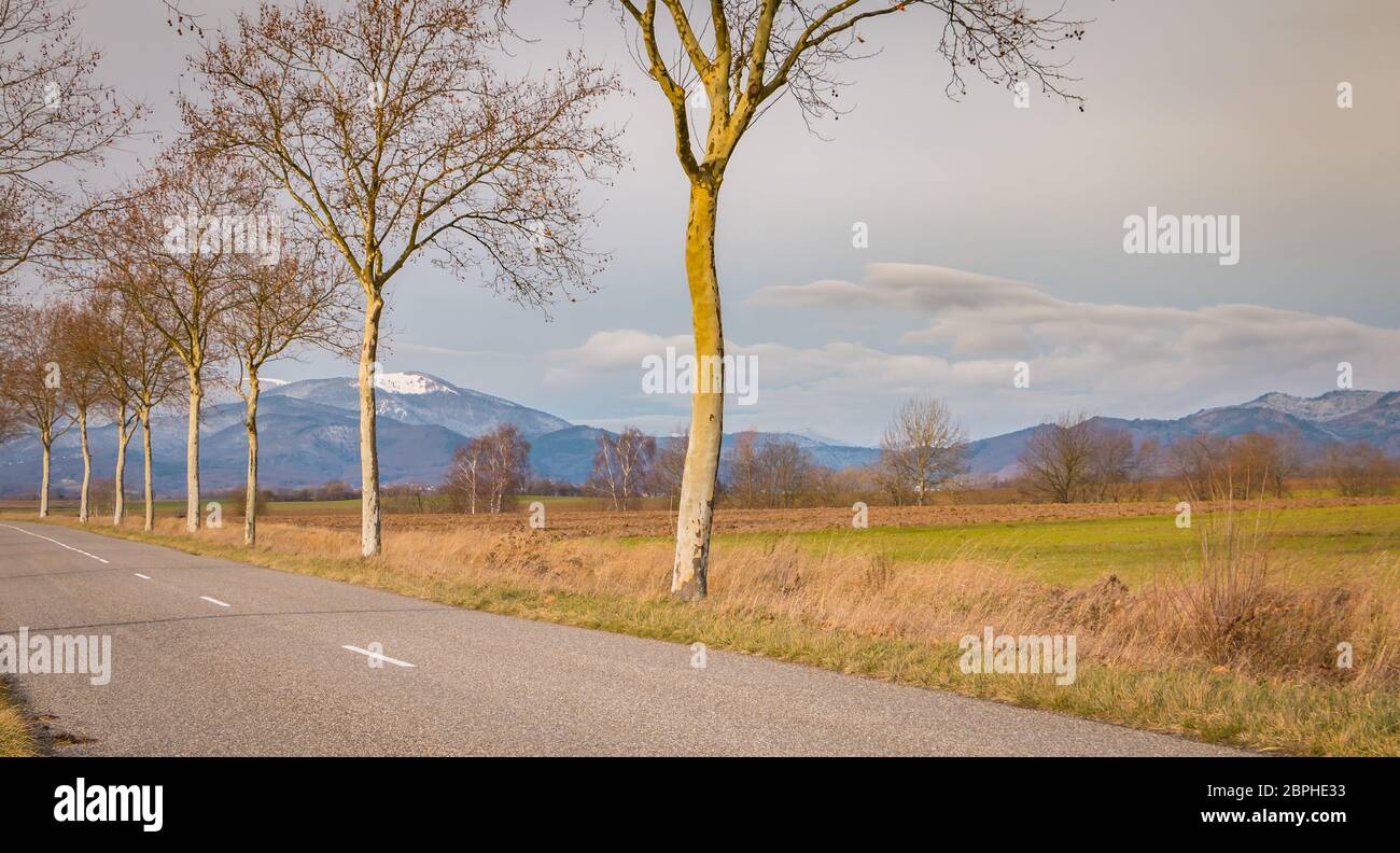 Small country road near the Vosges mountains in the Alsace region Stock ...