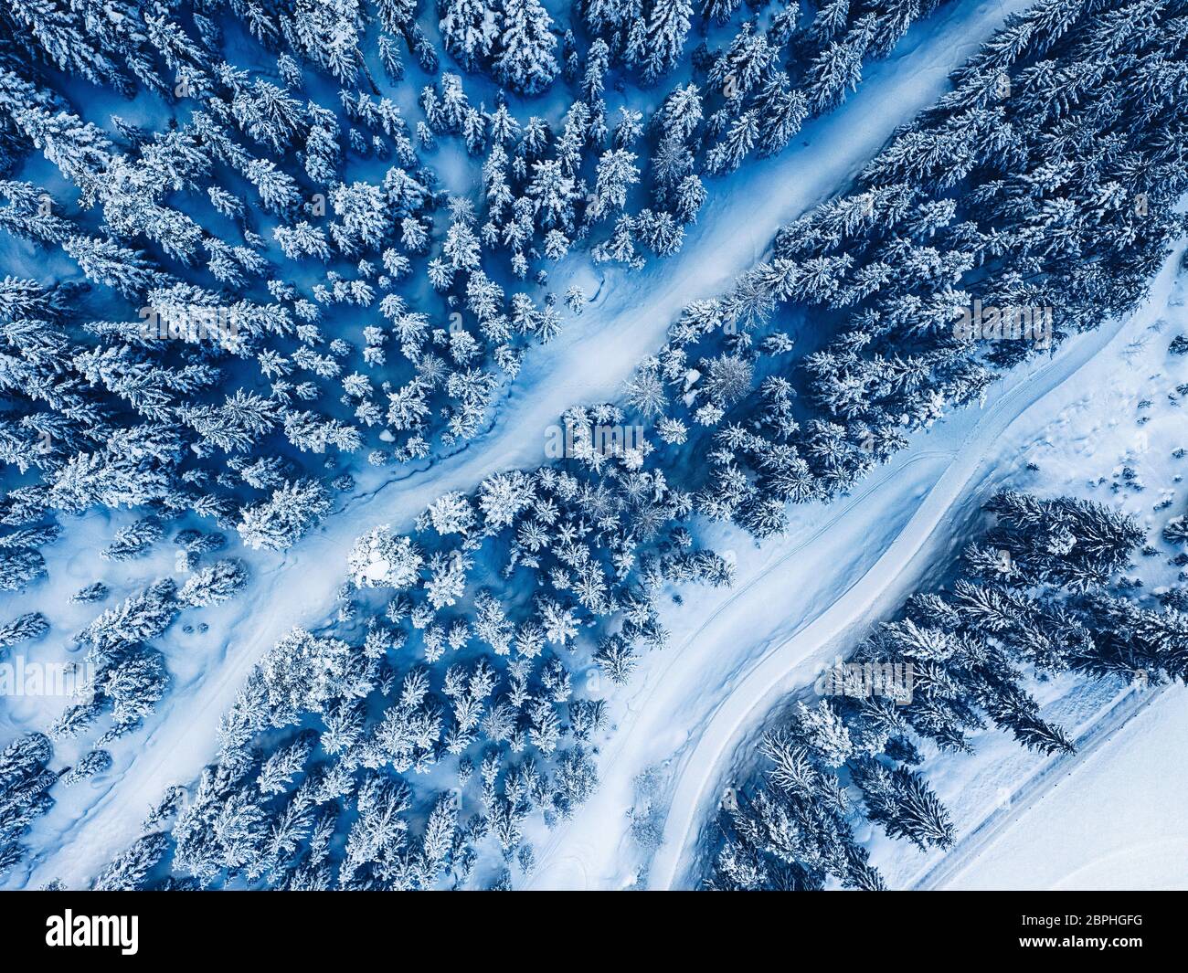 Aerial. Trees and snow in a winter forest. Nature background top view ...