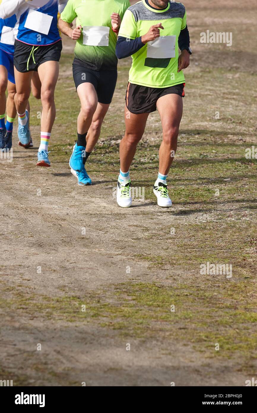 Cross country runners on a race. Active healthy outdoor lifestyle Stock ...
