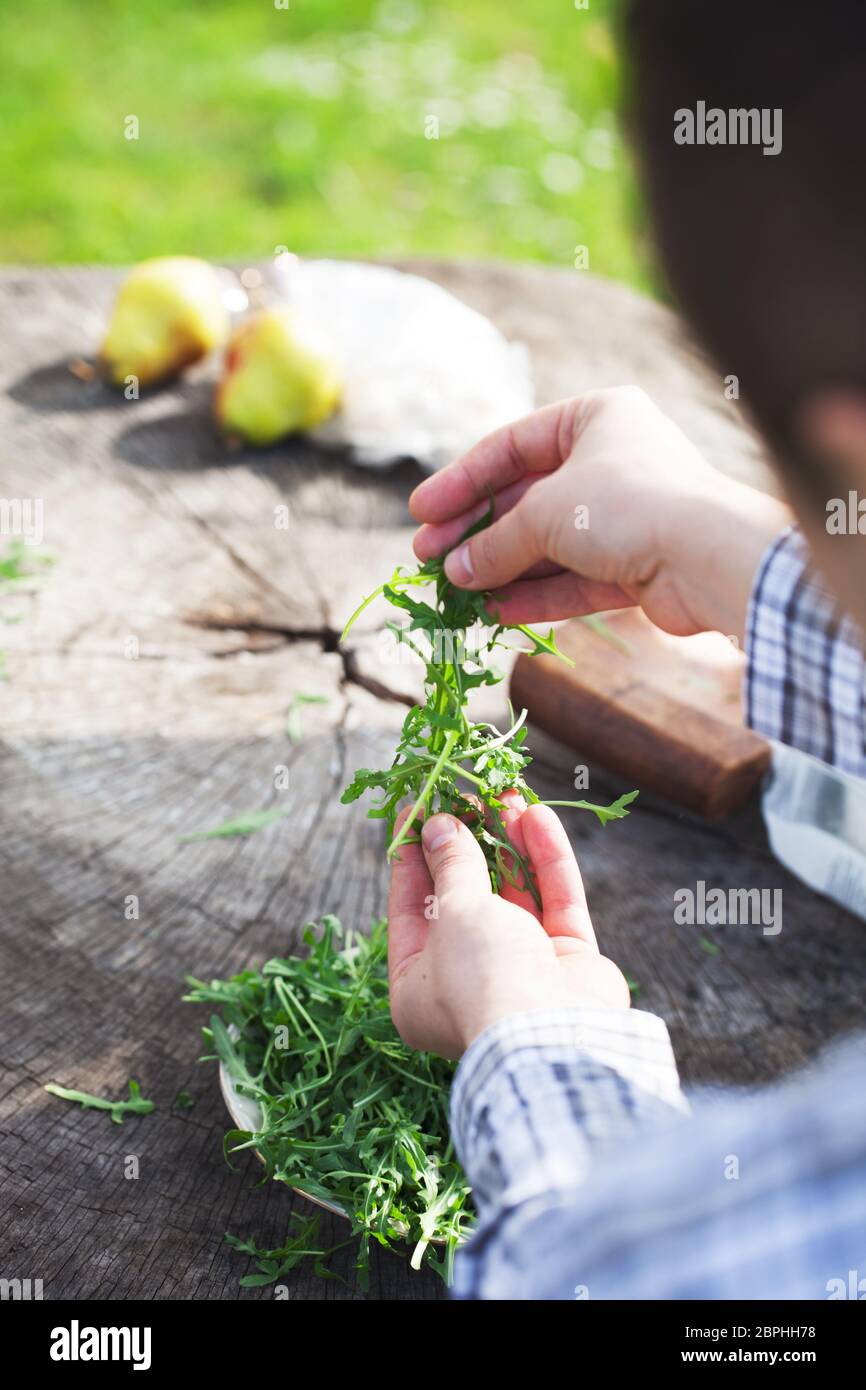 Organic vegetables. Healthy food. Rocket salad in farmers hands Stock ...