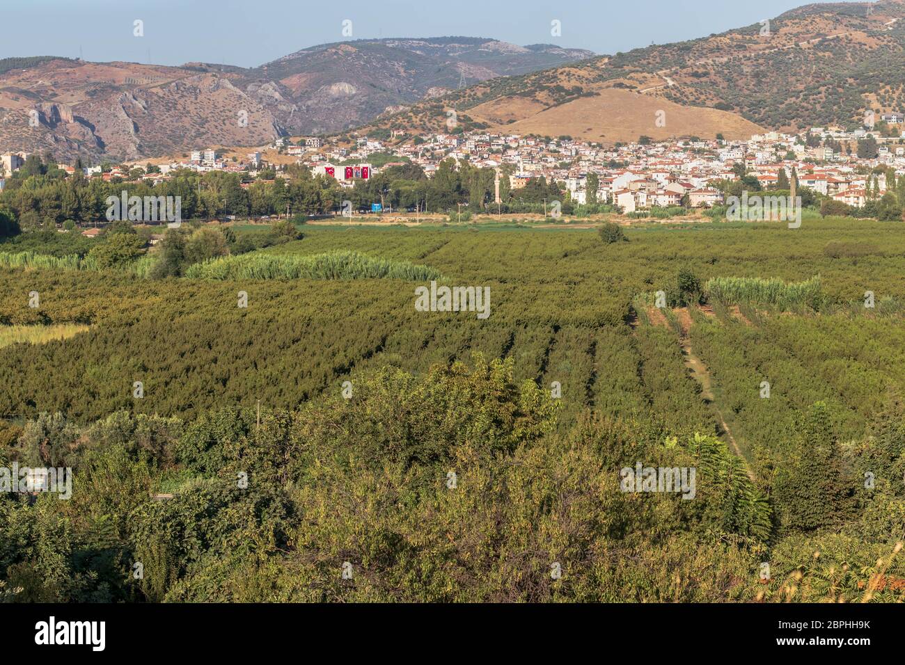 a green ultra wide landscape shoot from a farmland - there is mountain ...