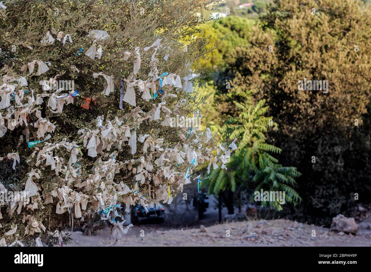 a good looking wish tree which placed top of mountain at sirince with ...