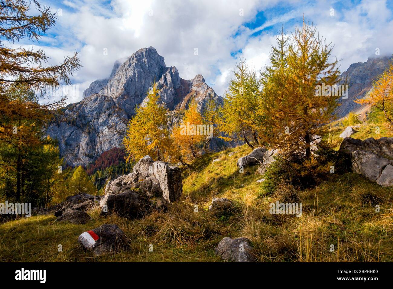 Colorful autumn scene on mountain. Sky with clouds,colorful trees and ...