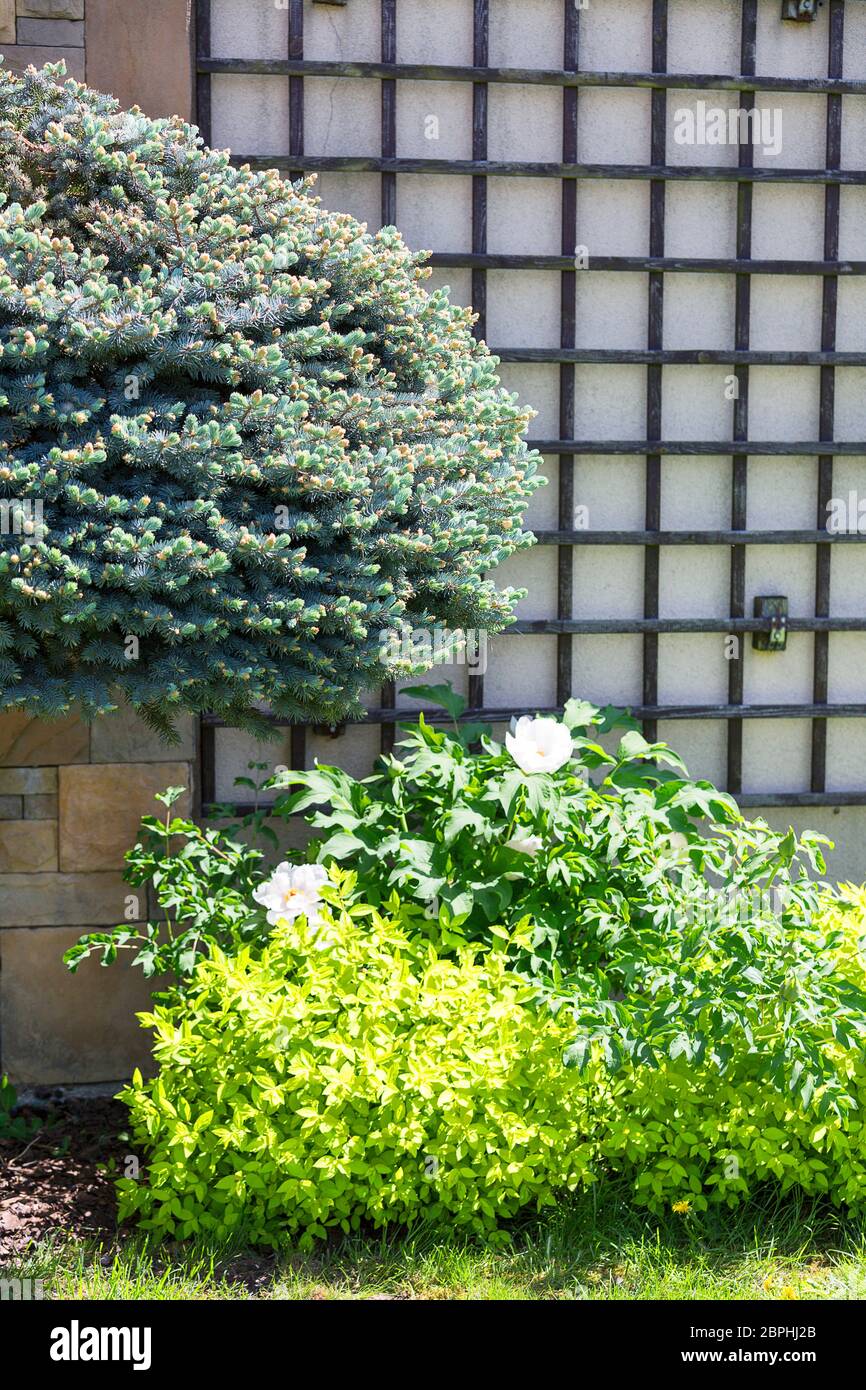 Beautiful spring garden, beauty of nature Stock Photo - Alamy