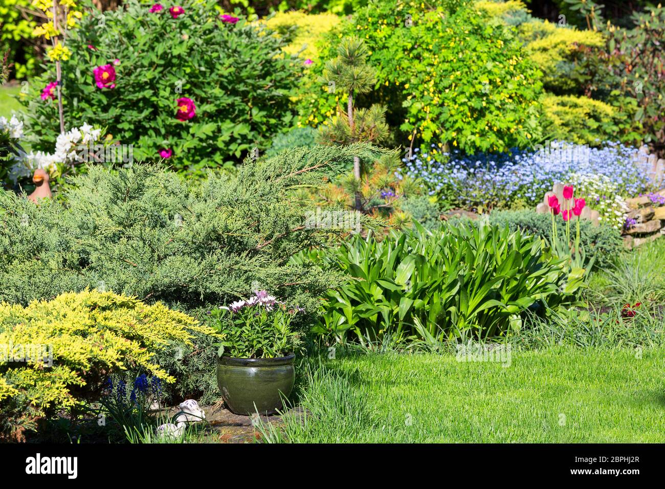 Beautiful spring garden, beauty of nature Stock Photo - Alamy