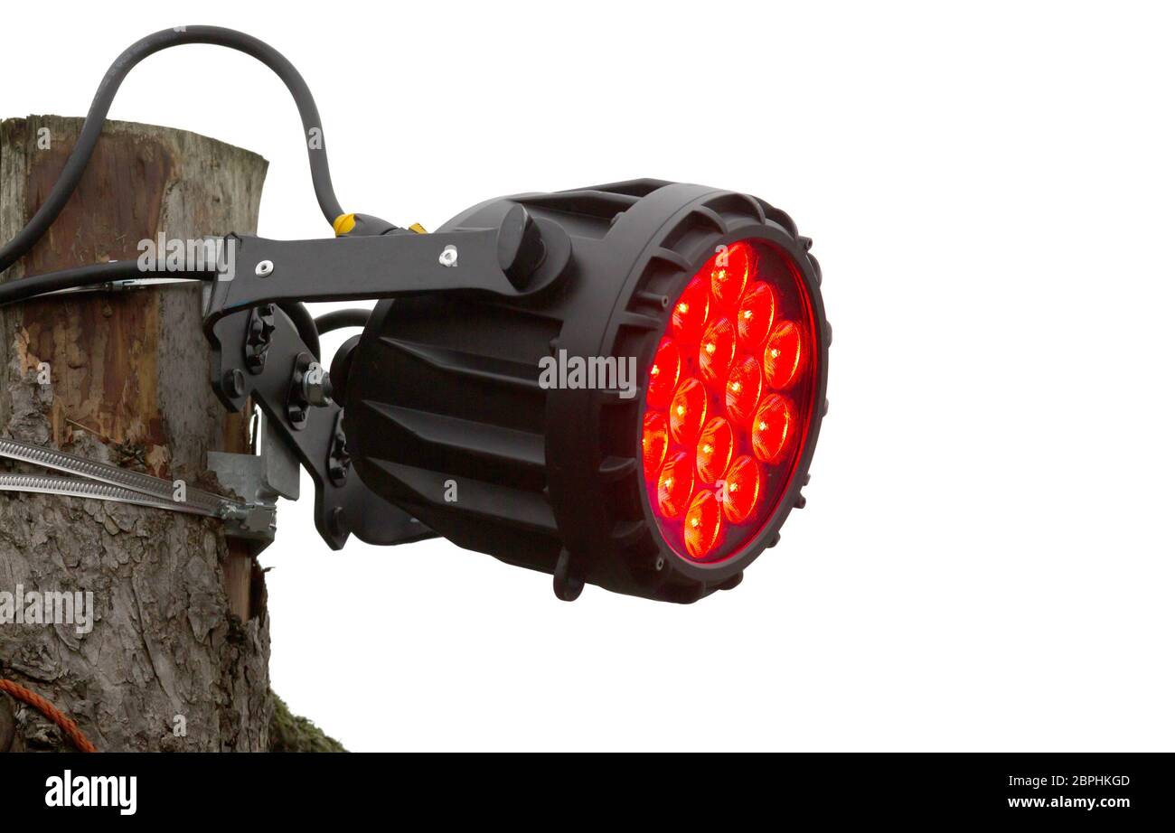 Stage LED spot light with red mood, isolated on white sky Stock Photo ...