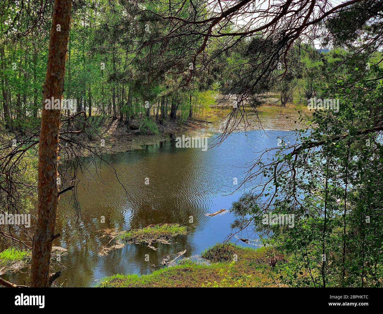 Russia taiga hi-res stock photography and images - Alamy