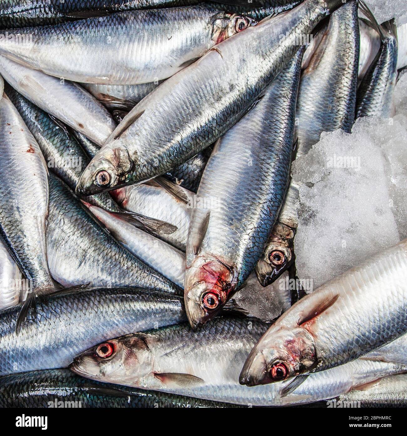 Fresh fish for sale at Saint Georges Market in Belfast Stock Photo - Alamy