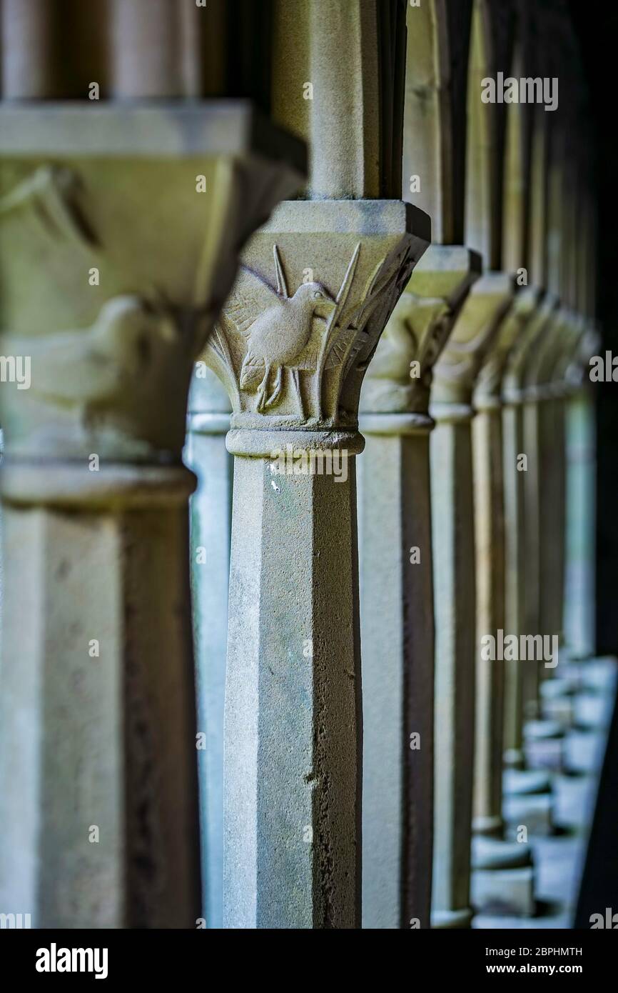 Bird detail from vertical column in Iona Abbey Courtyard Stock Photo ...