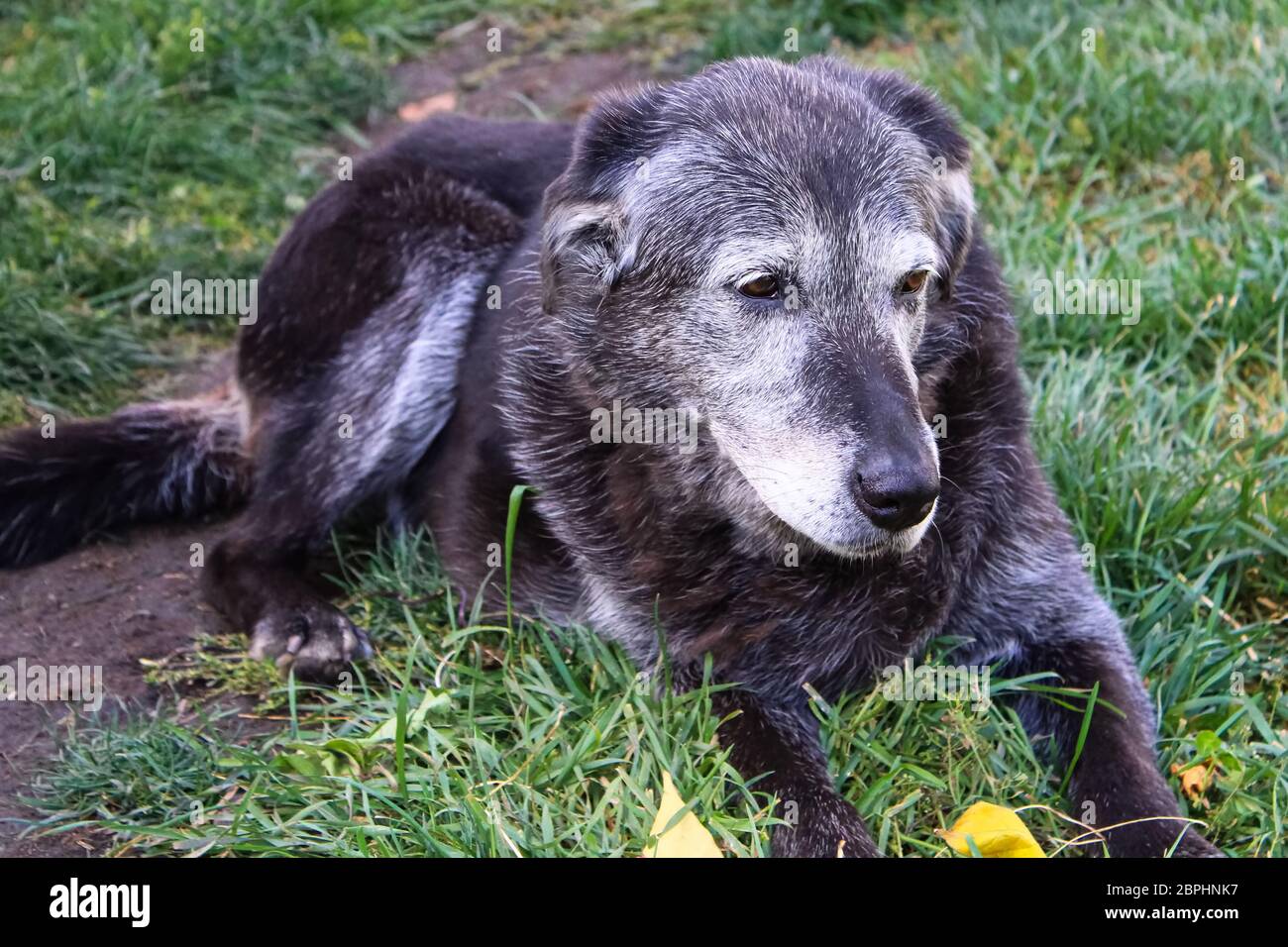 Hateful look hi-res stock photography and images - Alamy