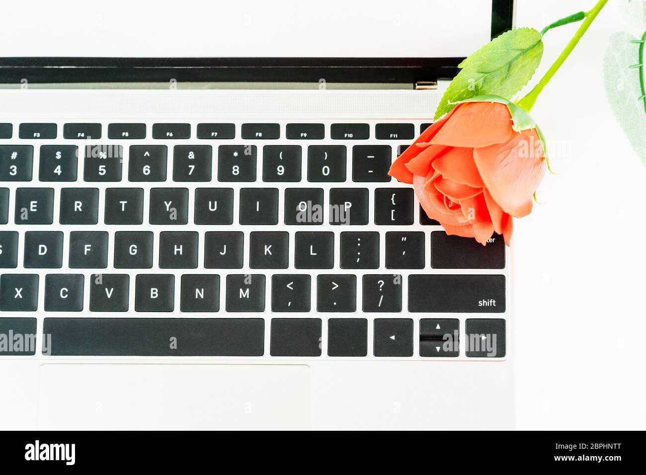 Red rose on the laptop keyboard on white background, Valentine concept ...