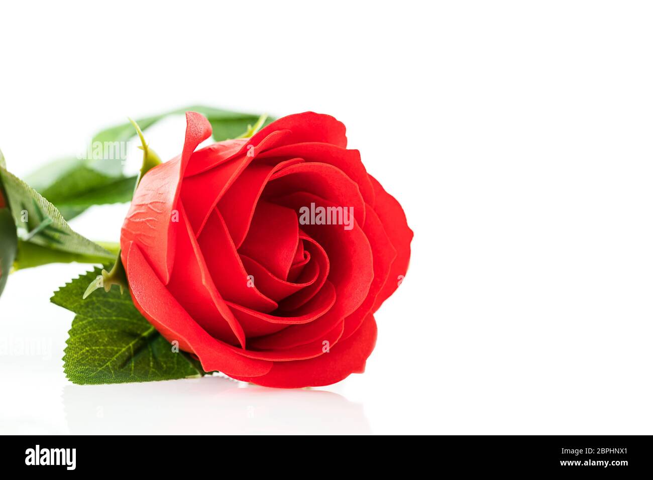 Single Red plastic fake roses on white background for Valentine's Day ...