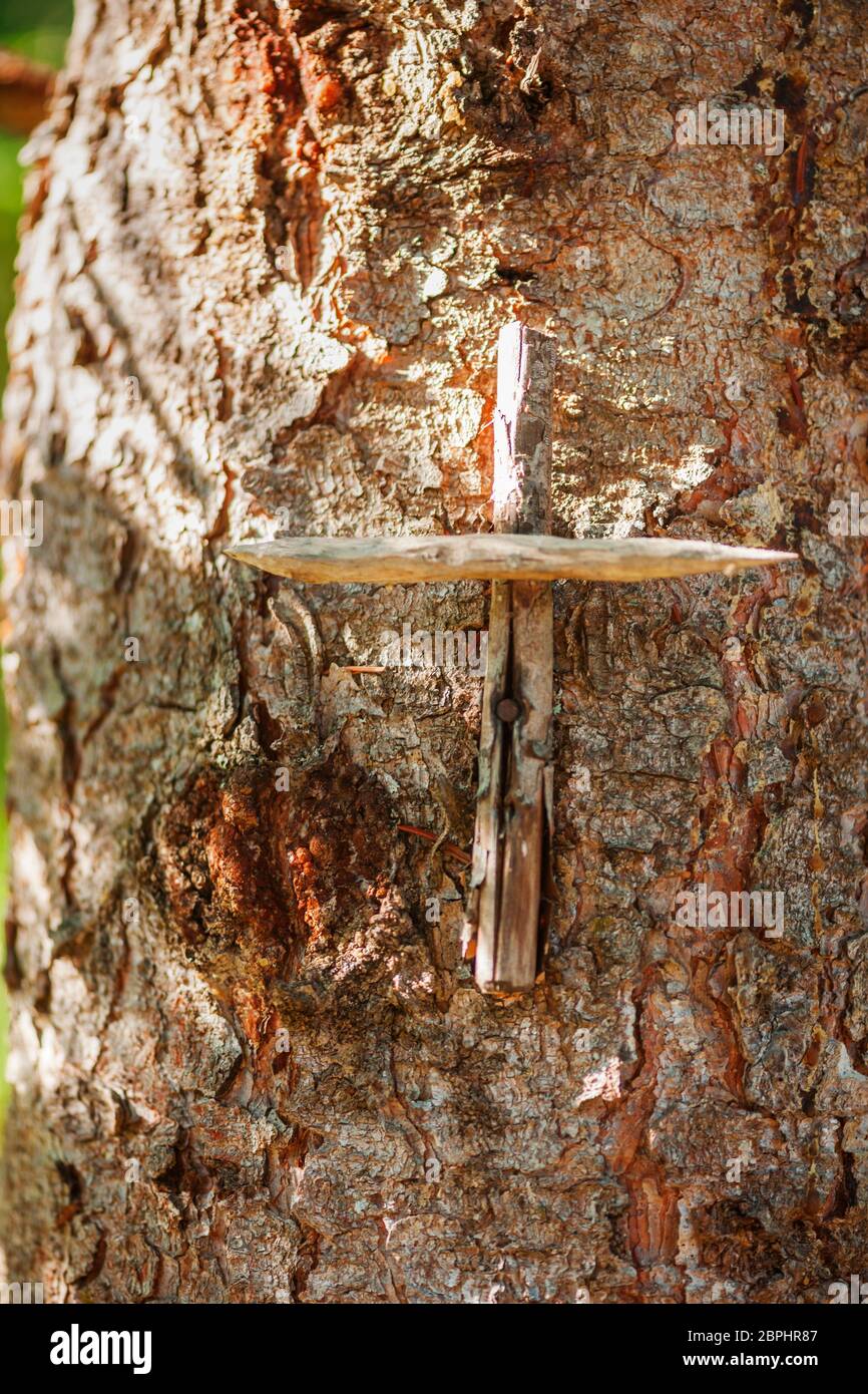 Closeup of a simple wooden cross on a tree with a large bark Stock ...