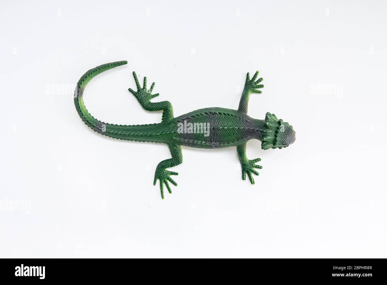 green toy lizard on white background Stock Photo - Alamy