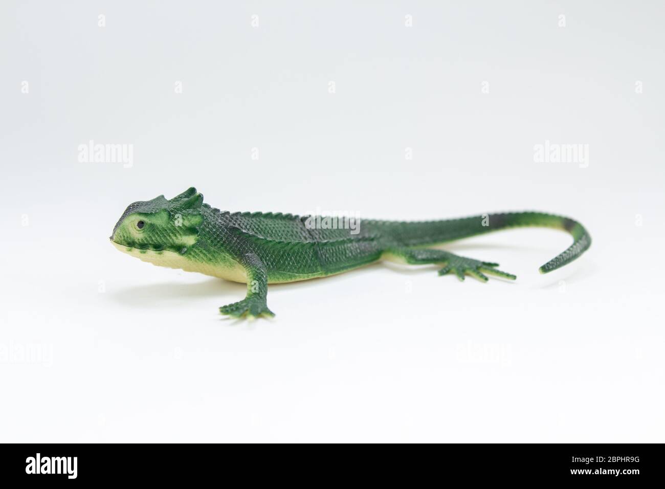 green toy lizard on white background Stock Photo - Alamy