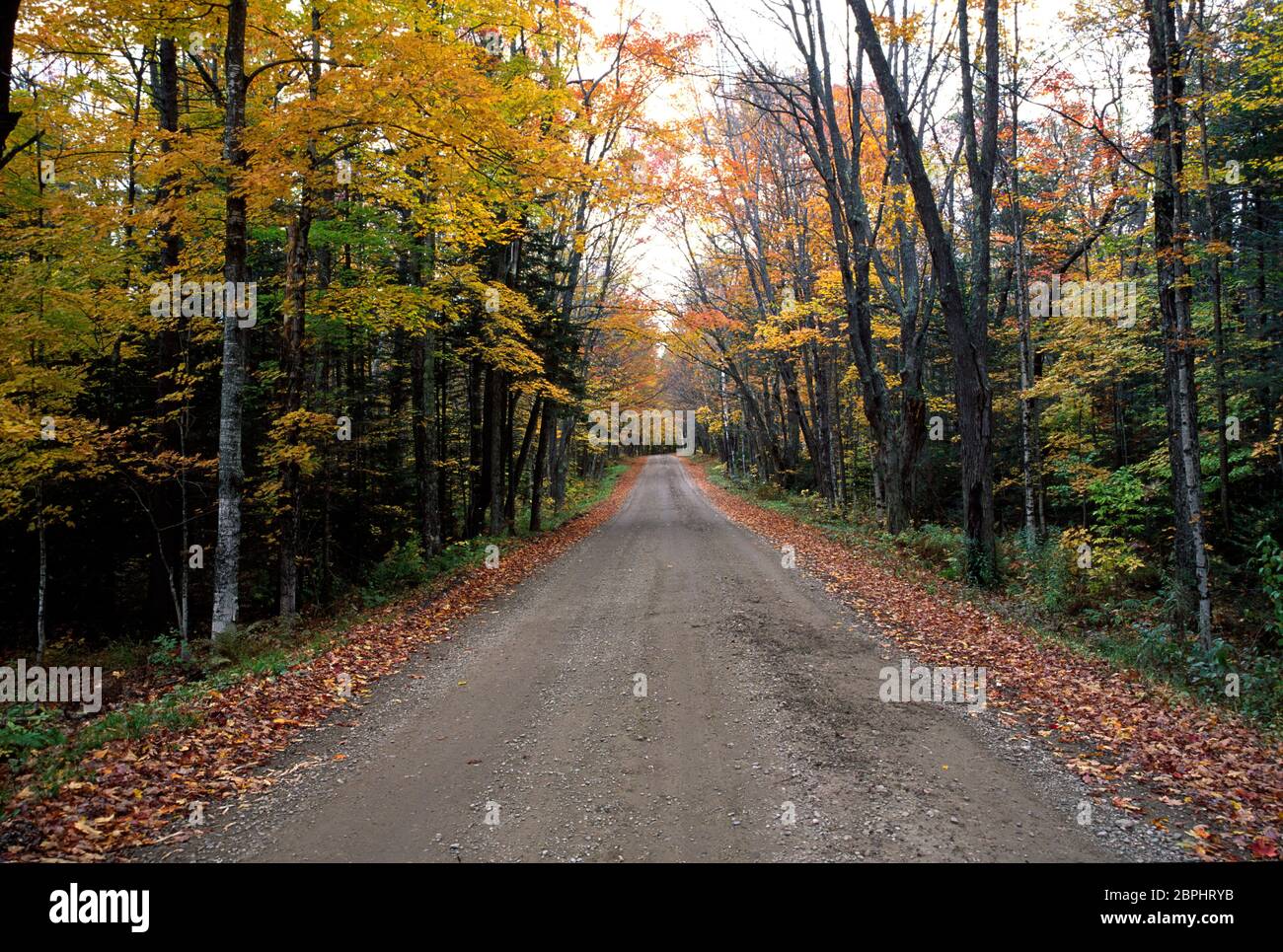Green mountain national forest vermont hi-res stock photography and ...
