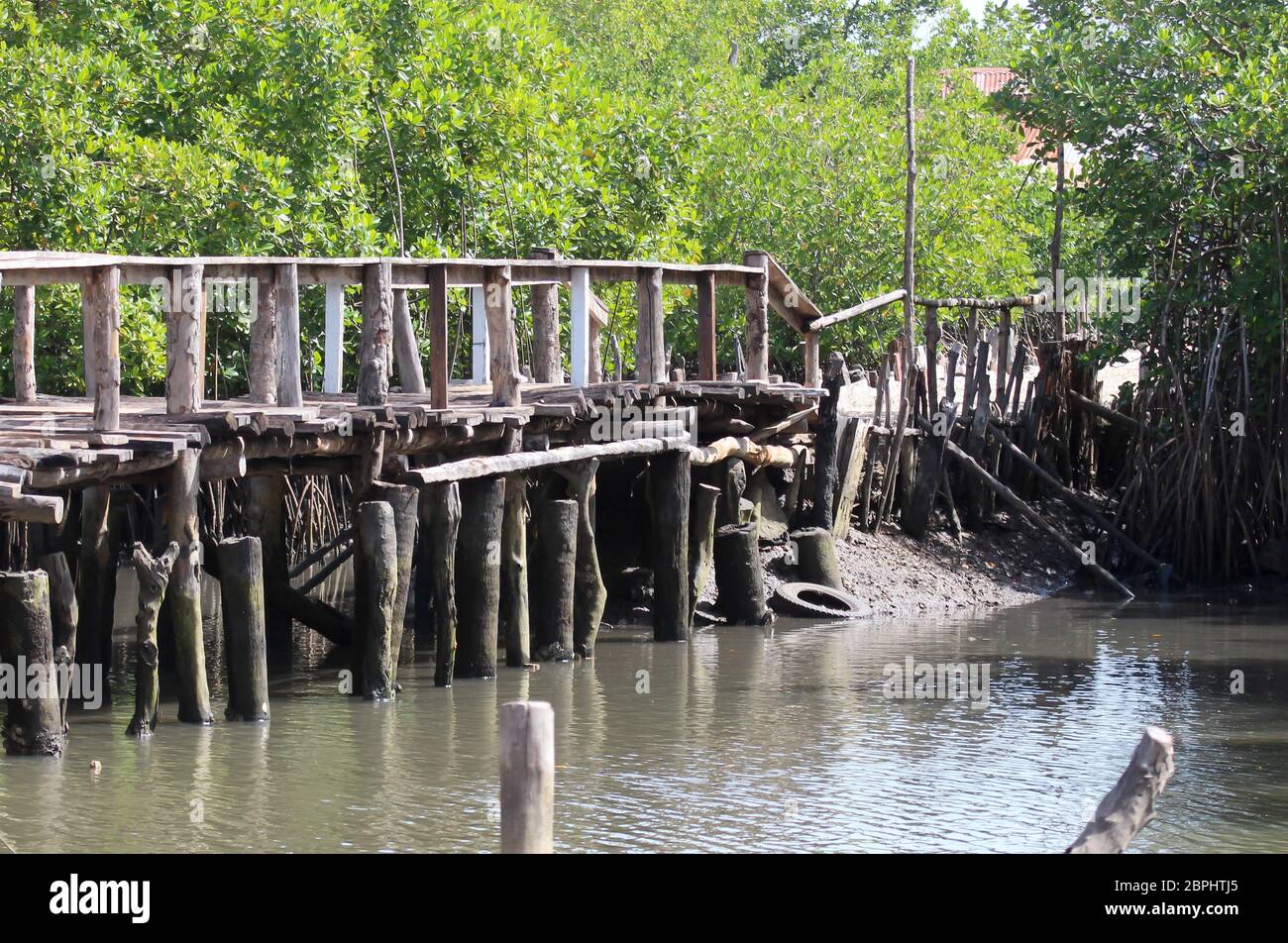 Old broken wooden bridge over the river, green tree background Stock ...