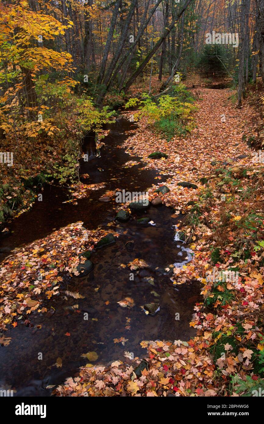 Chequamegon national hi-res stock photography and images - Alamy