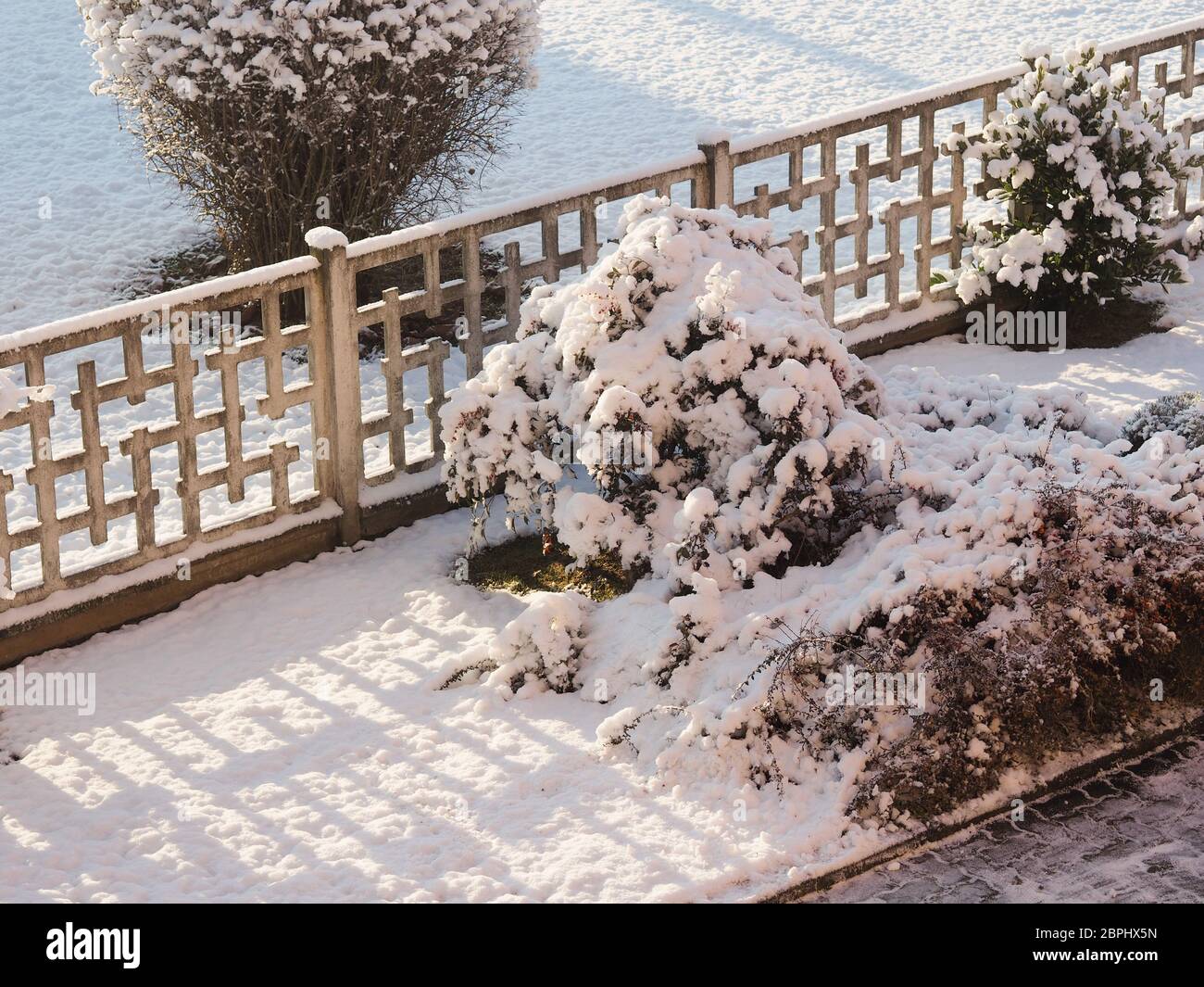 cold winter scene with trees and snow Stock Photo - Alamy