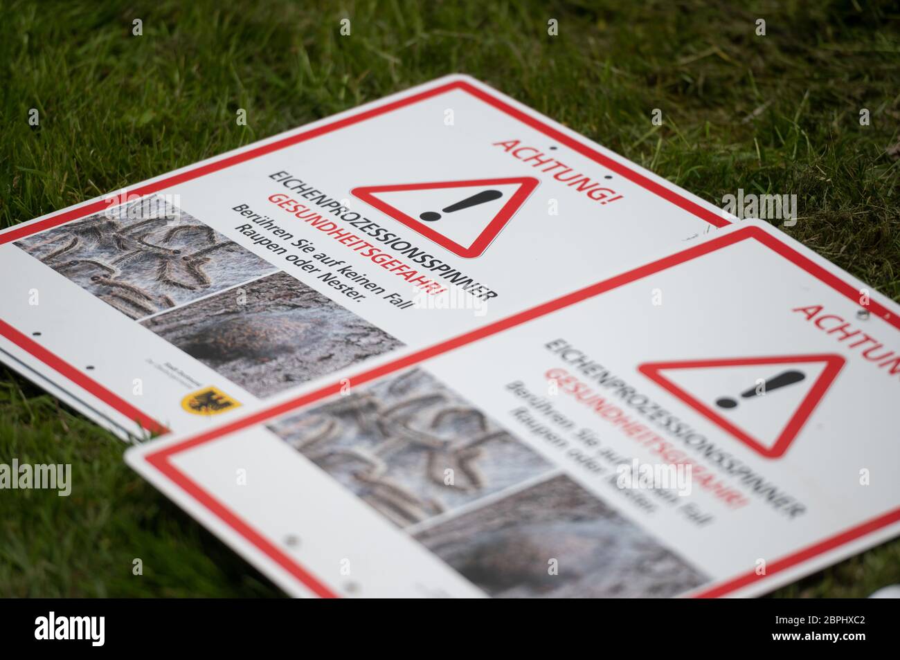 Case moth caterpillar hi-res stock photography and images - Alamy