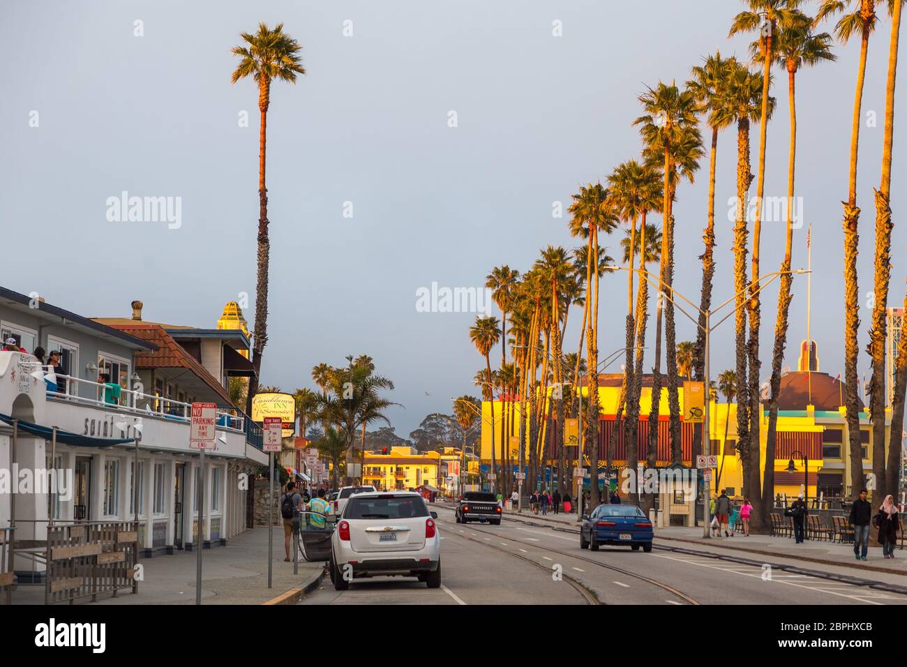 Santa Cruz, California, USA- 08 June 2015: View of a palm alley along ...