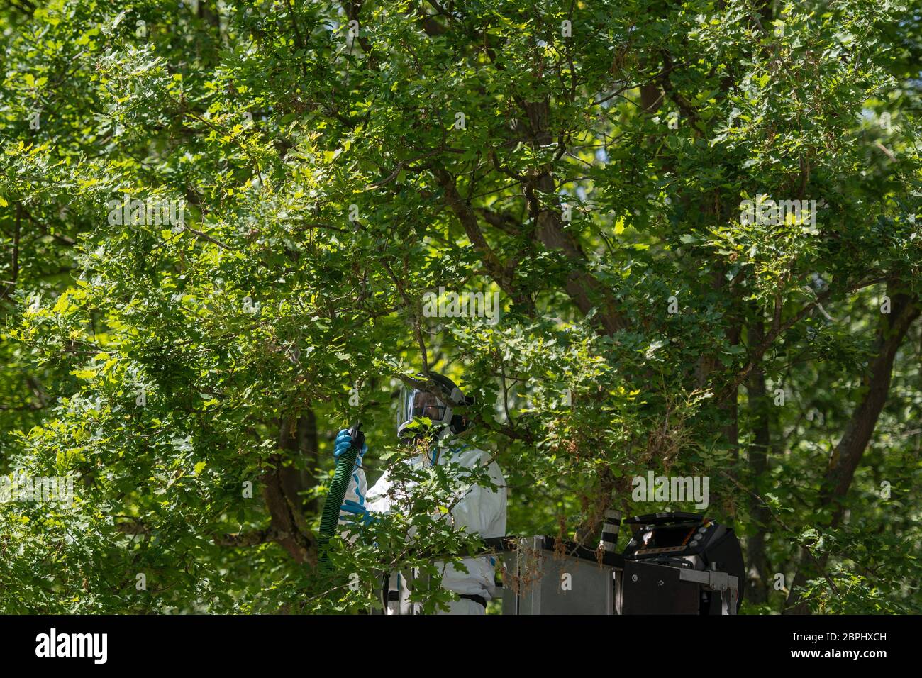 Michael mees hi-res stock photography and images - Alamy