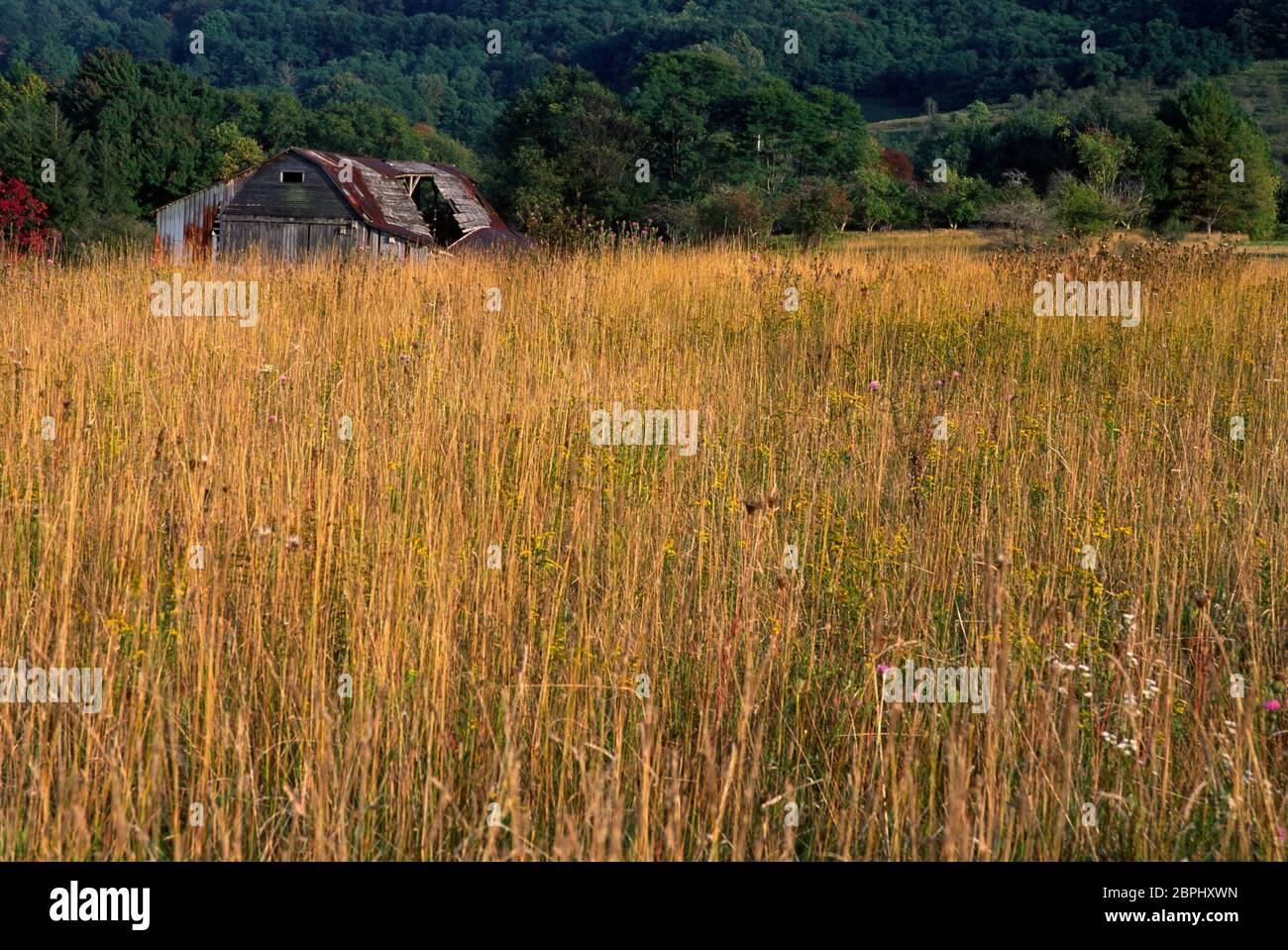 Canaan valley resort state park hi-res stock photography and images - Alamy