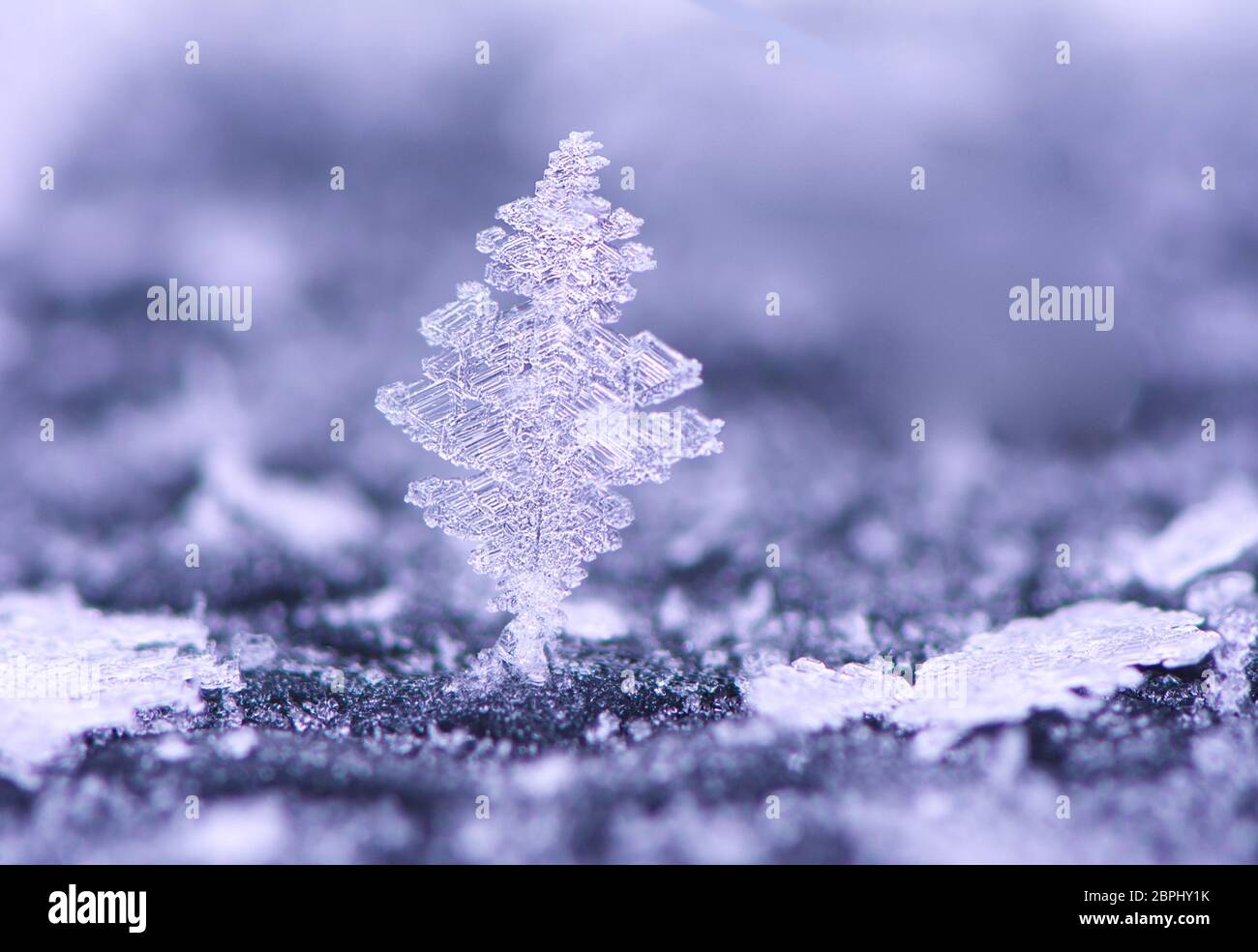 Abstract macro of an ice crystal Stock Photo - Alamy