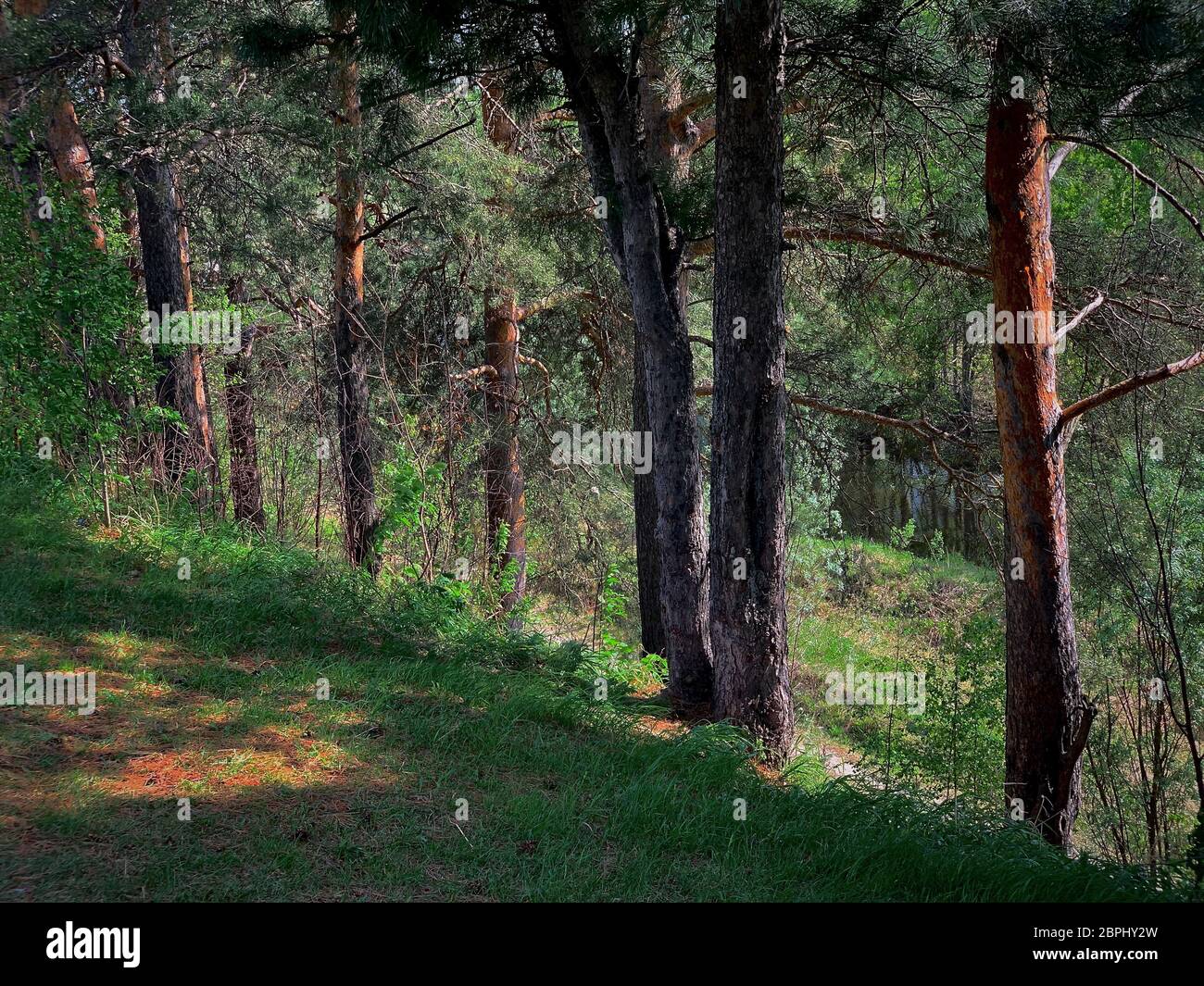 Angular composition hi-res stock photography and images - Alamy