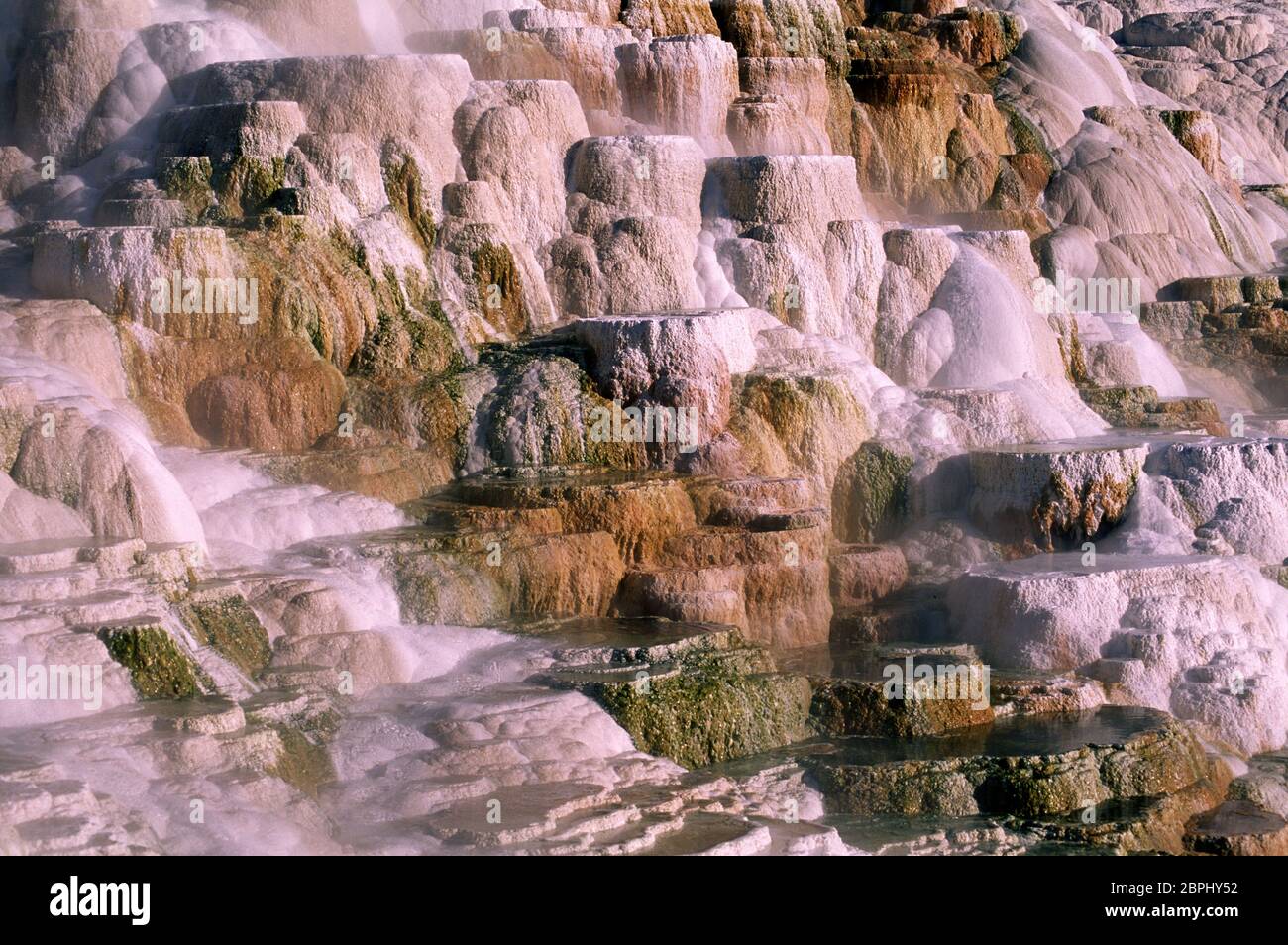 Canary Spring at Mammoth Hot Springs, Yellowstone National Park ...