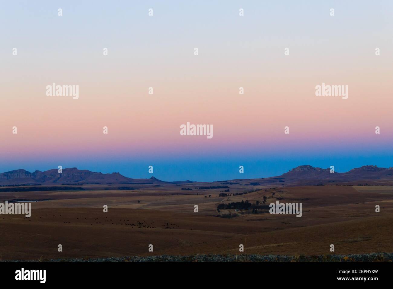 Sterkfontein Dam Nature Reserve dawn landscape, South Africa. African ...