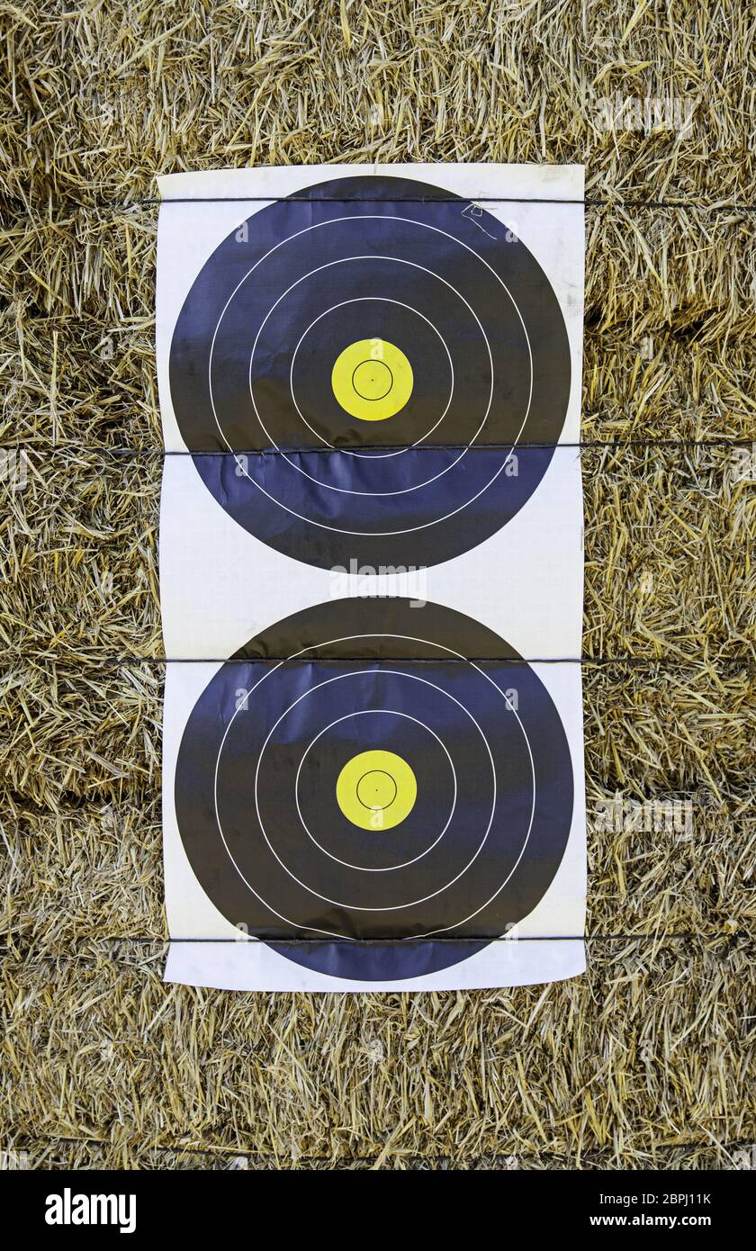 Targets to shoot in a competition of shooting, detail of aim and sport ...