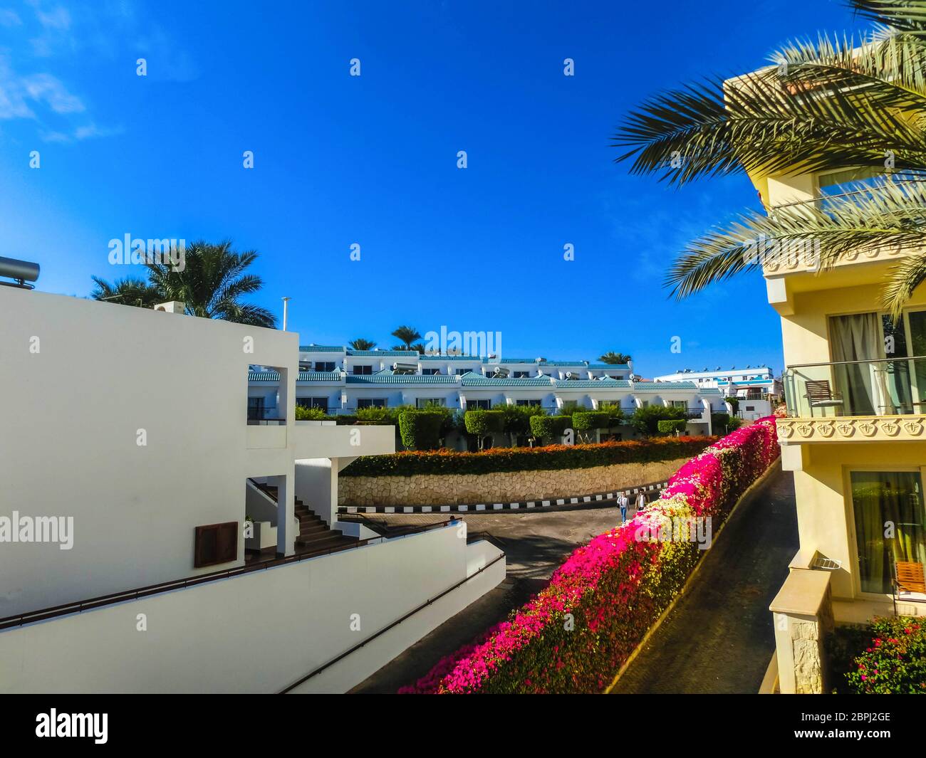 Paved red brick road in perspective leading to the sea on the ...
