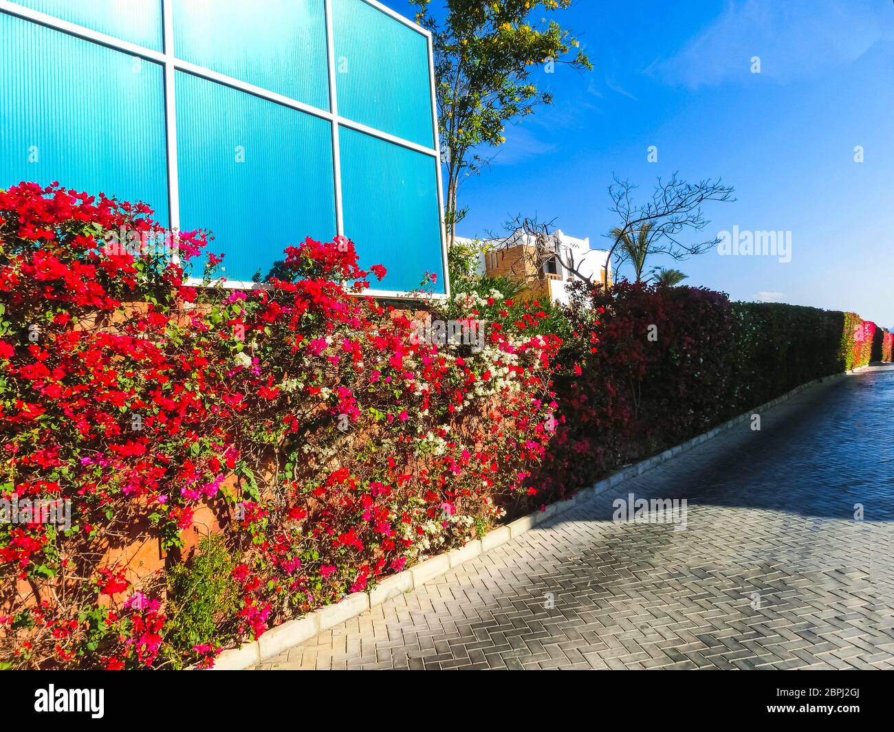Paved red brick road in perspective leading to the sea on the ...
