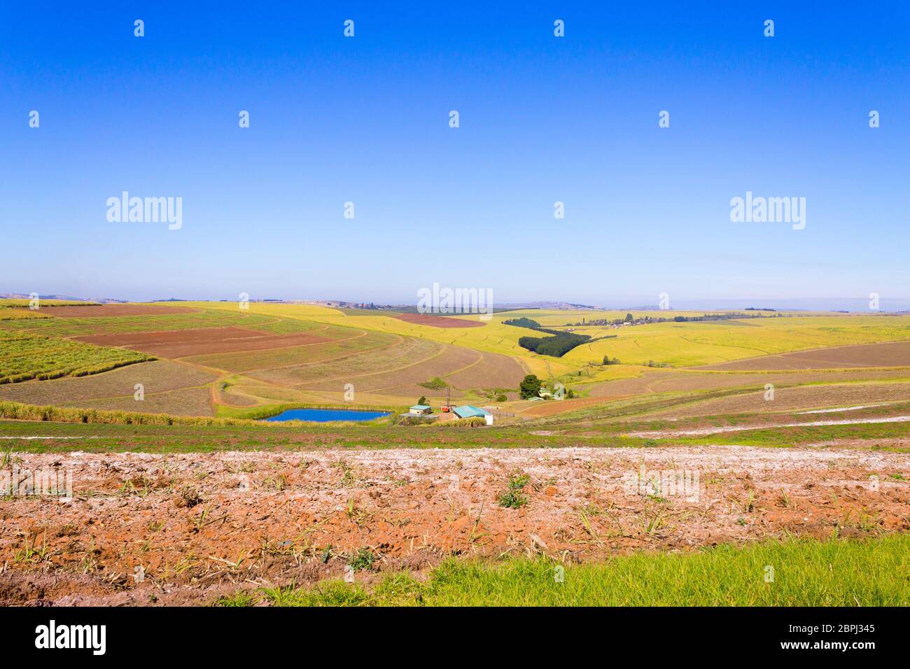 Valley of a Thousand hills landscape. Yellow fields panorama. South ...