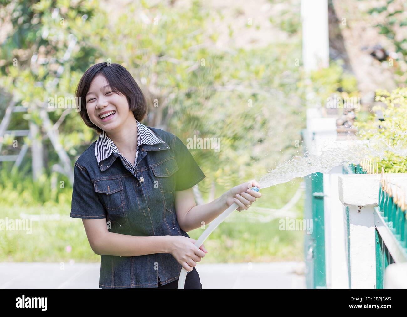 Asian women standing Spraying a tree in garden at her house Stock Photo ...