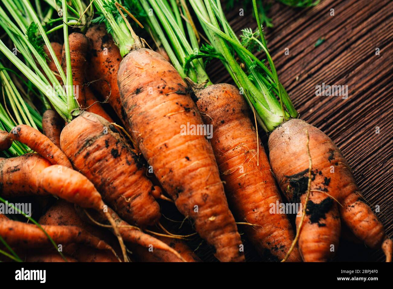 Fresh carrots close-up on a wooden background Stock Photo - Alamy
