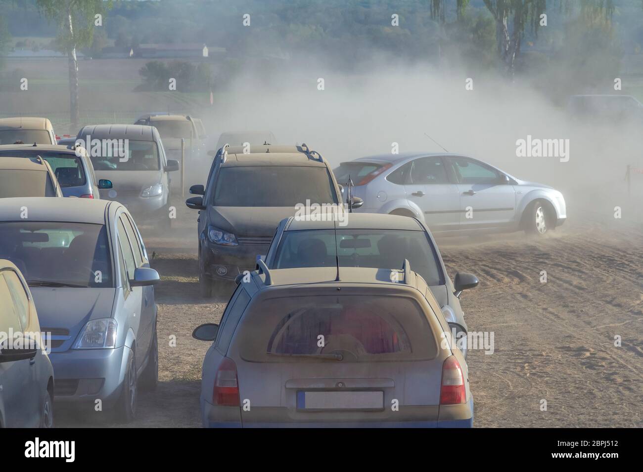 Dust Covered Tree High Resolution Stock Photography and Images - Alamy