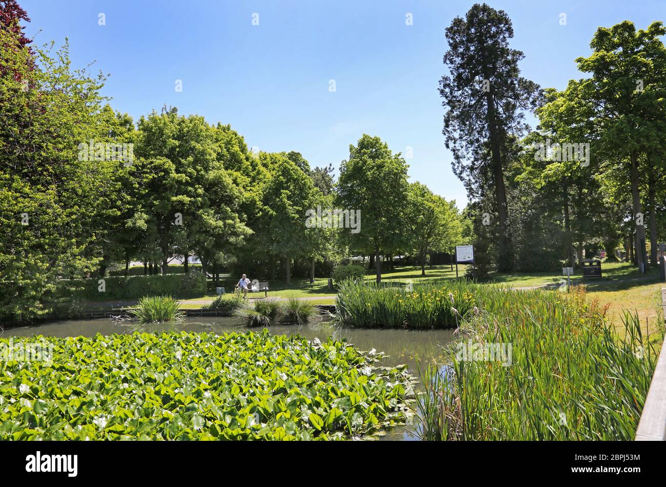 The duck pond and old village green in Sanderstead, Surrey, an affluent ...