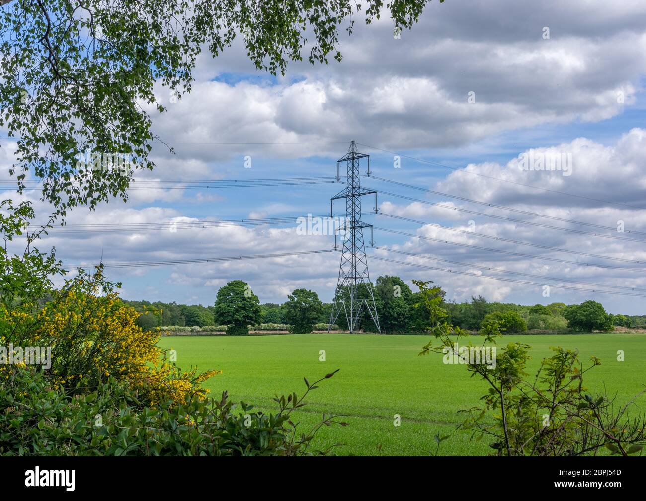 Tall electricity pylon in a rural farmland setting on a sunny day and ...