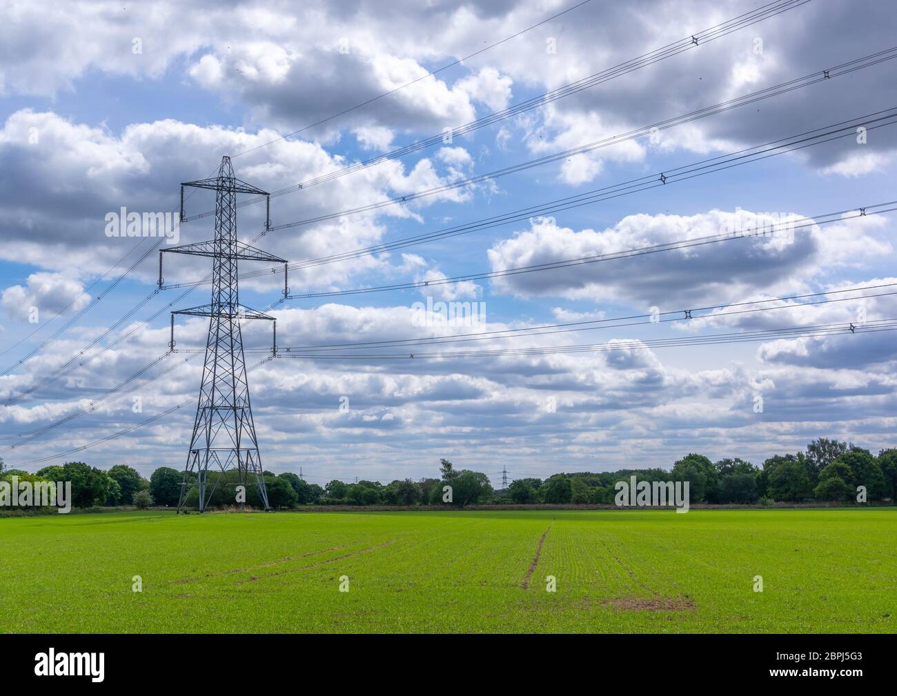 Tall electricity pylon and power cables in a rural green field farmland ...