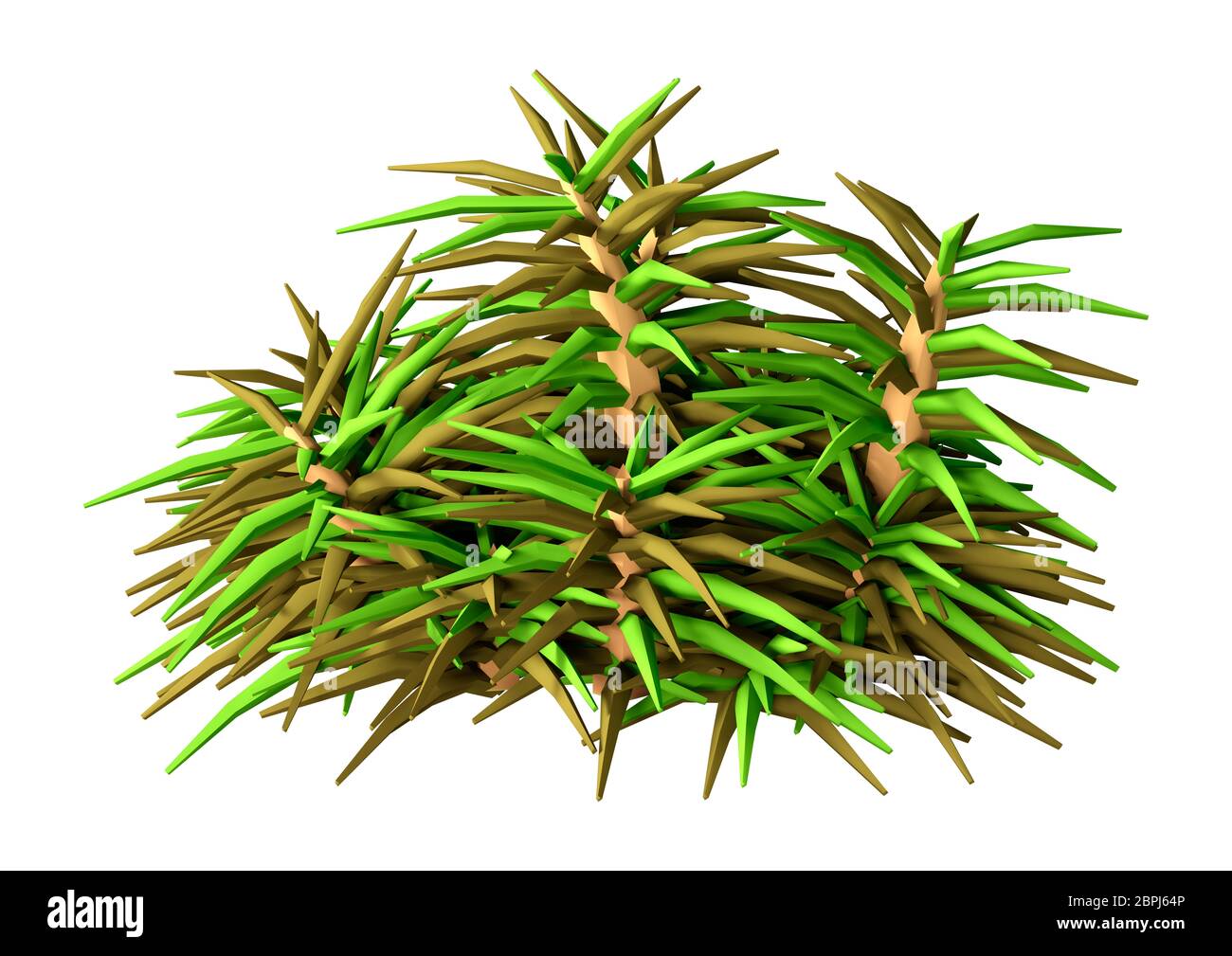 3D rendering of a green single moss isolated on white background Stock ...