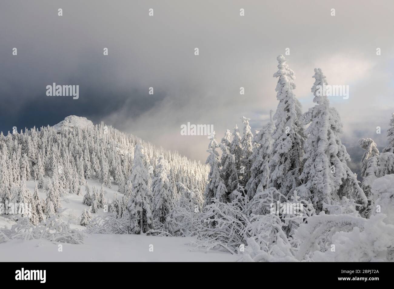 Grosser arber winter hi-res stock photography and images - Alamy