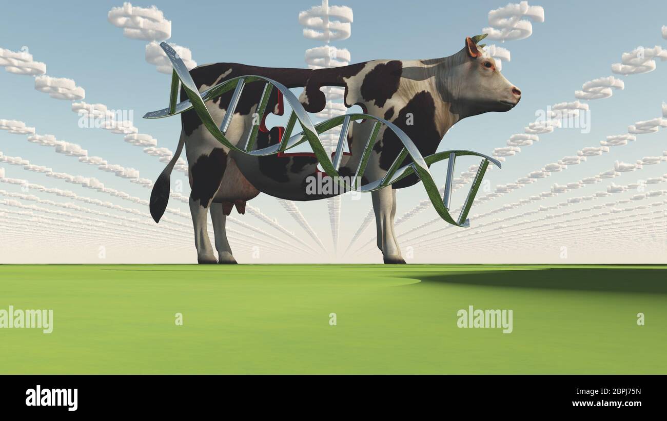 Cow genetics hi-res stock photography and images - Alamy