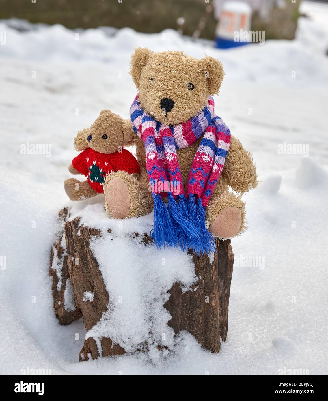 Two teddy bears hugging hi-res stock photography and images - Alamy