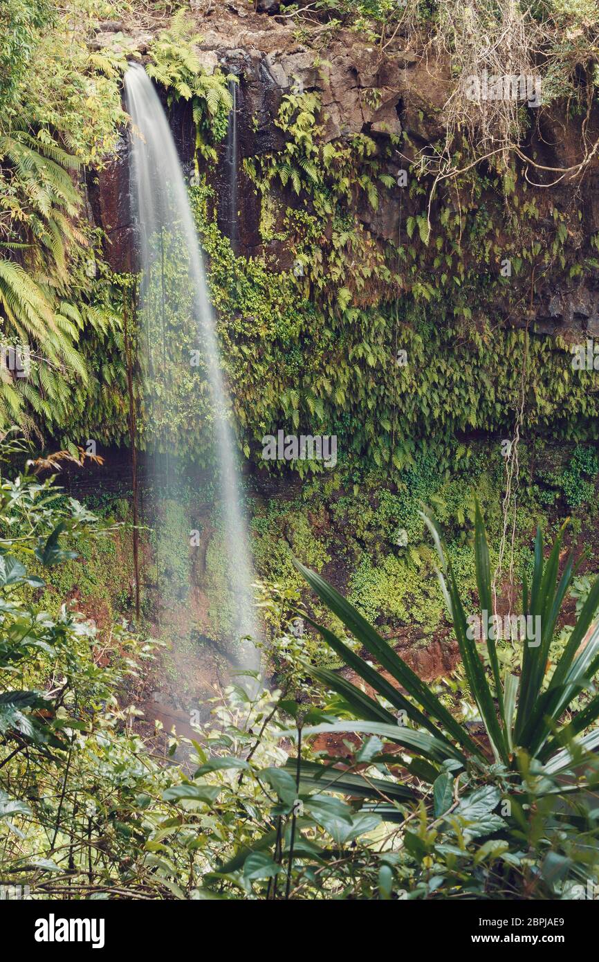 Waterfall in Le Domaine de Fontenay's private forest reserve, Amber ...