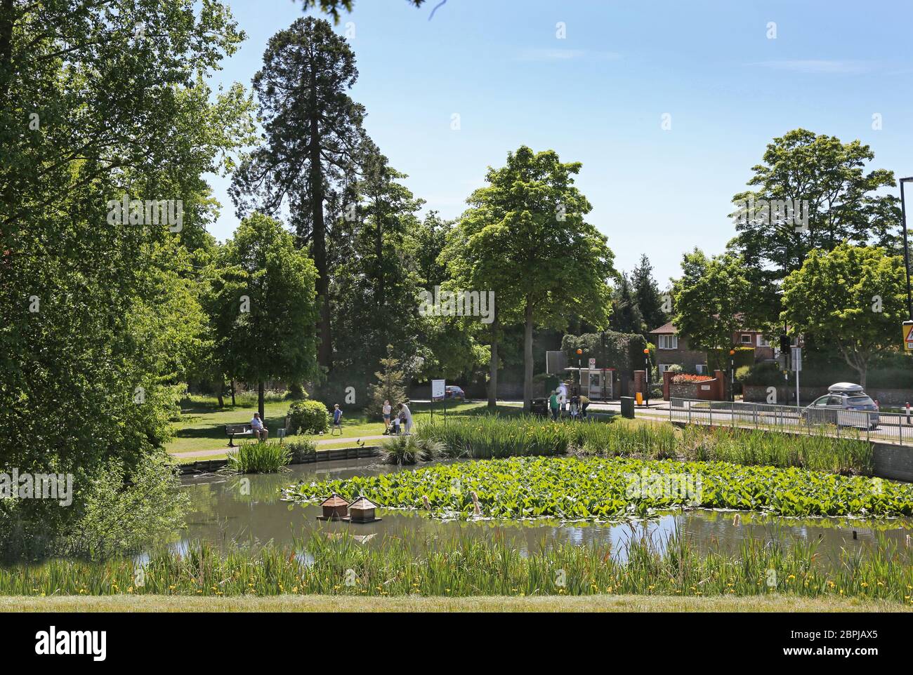 Sanderstead road, croydon hi-res stock photography and images - Alamy