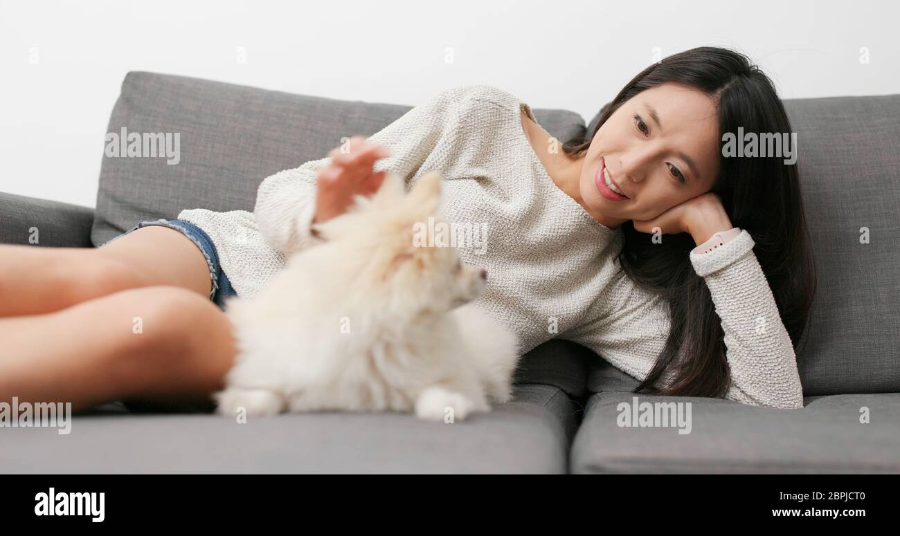 Woman caressing her dog at home Stock Photo - Alamy