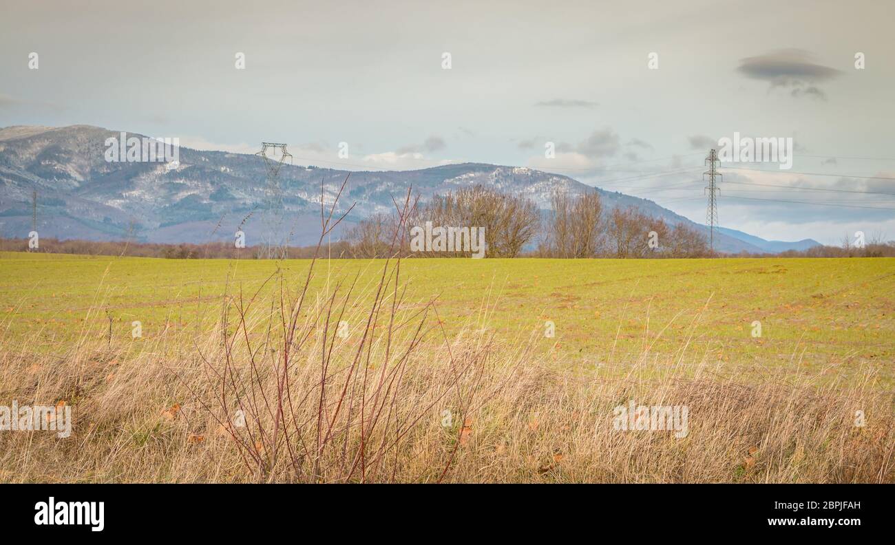 Alsace vineyard winter hi-res stock photography and images - Alamy