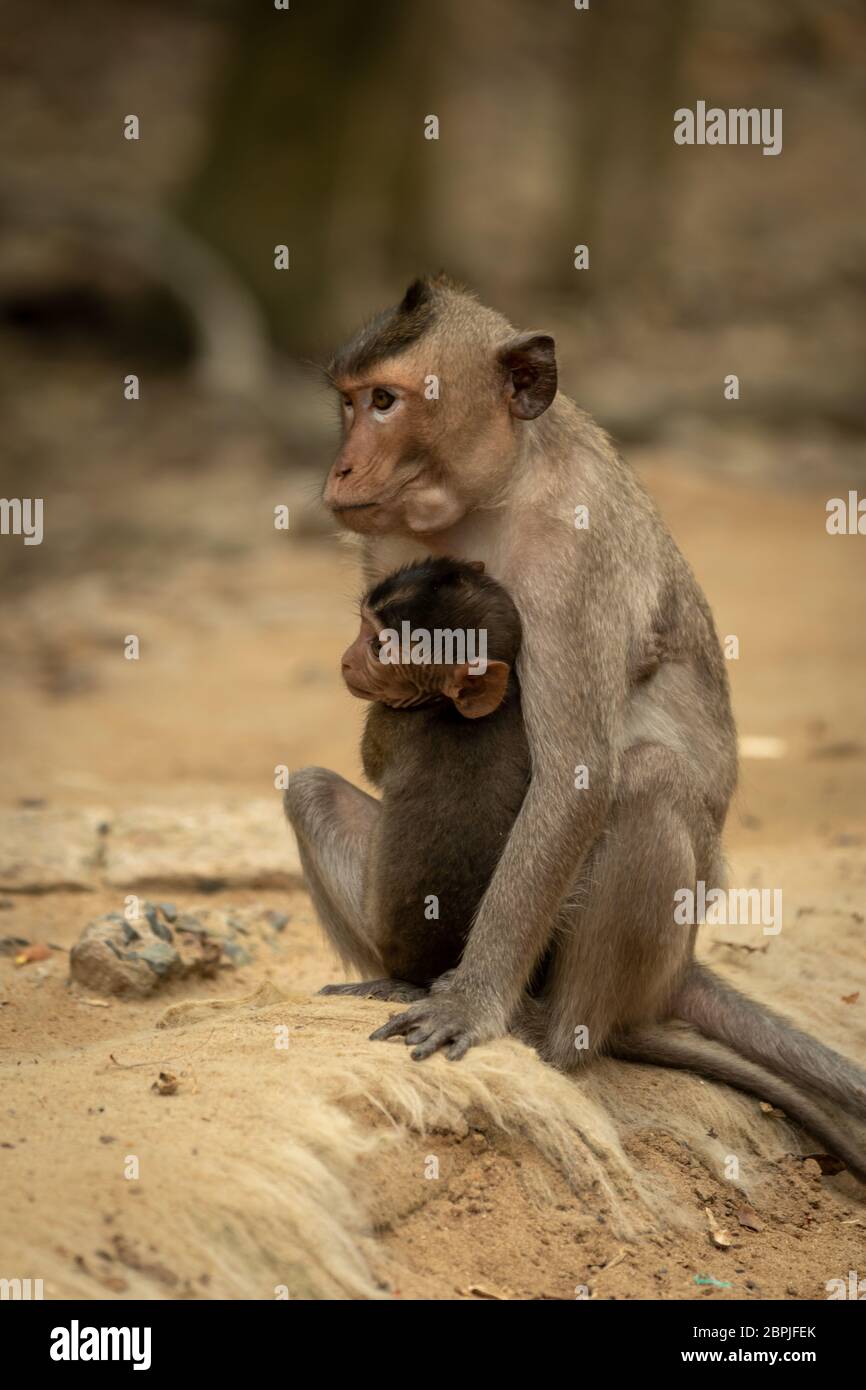 Sits hugging hi-res stock photography and images - Alamy